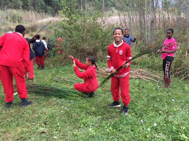 Practical Arts at The Little School | The Little School